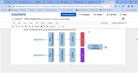 muhammad hamza on linkedin nlp siamesenetworks machinelearning ai projectcomplete…