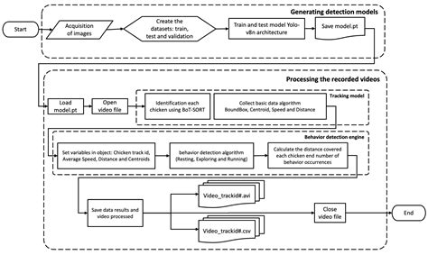 Chicken Tracking And Individual Bird Activity Monitoring Using The Bot Sort Algorithm