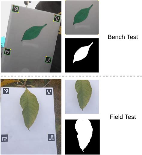 Experiments Displaying The Results Of The Proposed Process These