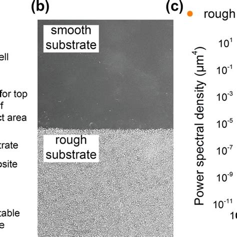 Experimental Setup For Adhesion Measurements On Smooth And Rough Download Scientific Diagram