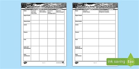 Deciduous Trees In Australia Research Worksheet Twinkl