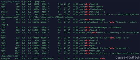 linux操作系统 进程与服务管理 检查操作系统进程和服务 csdn博客