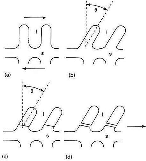 Dendritic Fragmentation Under Forced Convection 7 Download Scientific Diagram