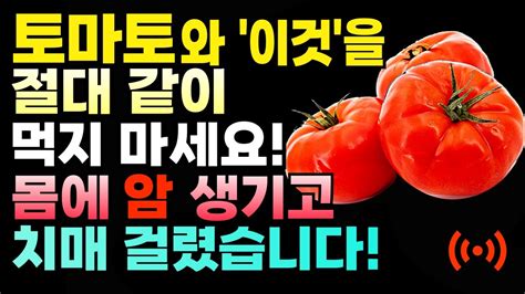 토마토와 상극인 음식 Top5 절대 같이 드시면 안됩니다 건강한 노년기를 위해 먹는 토마토독소와 온갖 질병 싹 사라집니다 건강 정보 음식 효능 Youtube