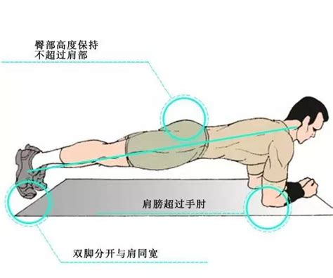 标准平板支撑 平板支撑标准动作 平板支撑时间标准表 文秘苑图库