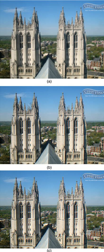 Down Sampled Results Using Various Methods A Pixel Based Downsampling Download Scientific