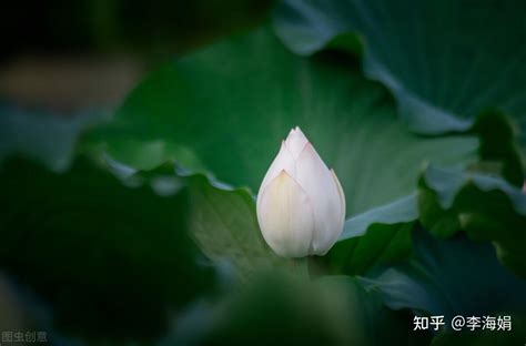水墨光阴寸心欢喜谁寂寞了繁华谁埋葬了天涯 知乎