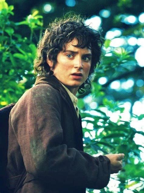 Фродо Бэггинс фото на 24СМИ