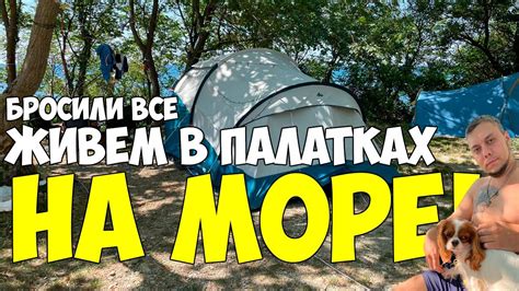 ВСЕ УЕХАЛИ НА МОРЕ В КЕМПИНГ — ЖИЗНЬ В ПАЛАТКЕ И НОВЫЕ ПРИКЛЮЧЕНИЯ Youtube