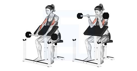 Wrist Extensor Stretch Guide Benefits And Form