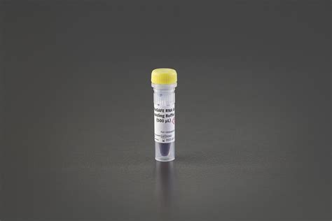 Formamide Rna Loading Buffer Recipe Bryont Blog