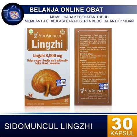 Promo Sido Muncul Herbal Lingzhi Menghambat Pertumbuhan Sel Tumor Kanker Diskon Di Seller