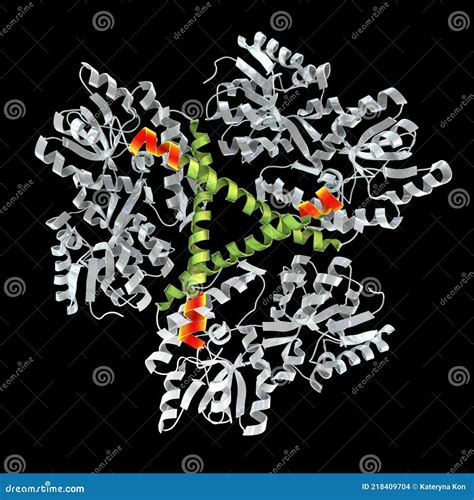 Molecule Of The Mutated Huntingtin Protein Mhtt The Cause Of