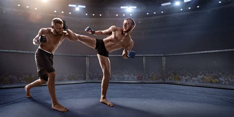 프로 권투 링에서 Mma 전투기 혼합 무술에 대한 스톡 사진 및 기타 이미지 혼합 무술 권투 스포츠 남자 Istock