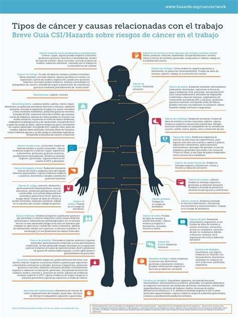 Tipos De Cáncer Pdf Cáncer Amianto