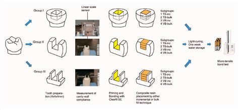 Figure 1 From Incremental And Bulk Fill Techniques With Bulk Fill Resin