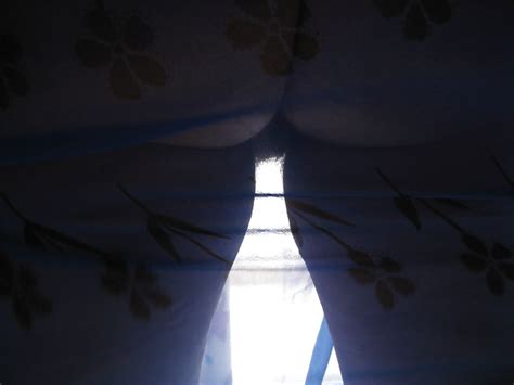 Hairy Wife Porn Pictures Xxx Photos Sex Images Pictoa