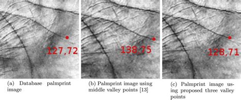 Improved Palmprint Alignment When Using The Modified Mec Method [taken Download Scientific