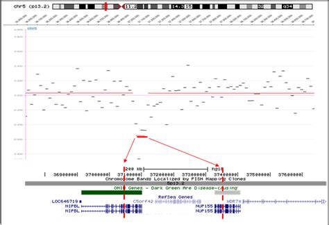 Figure 1 Whole Genome Oligonucleotide Microarray Analysis Revealed A Loss On The Short Arm Of