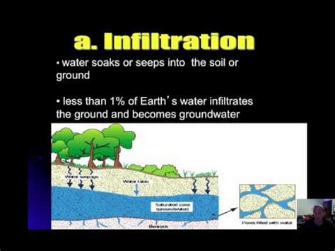 Water Cycle Infiltration