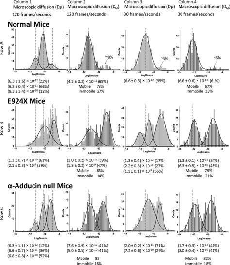 Histogram Plots Of Diffusion Coefficients Of Labeled Band 3 Molecules Download Scientific