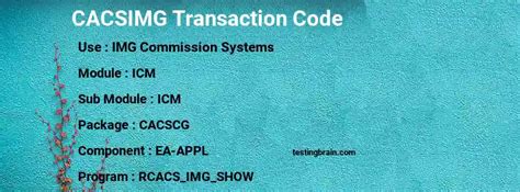 Cacsimg Sap Tcode For Img Commission Systems