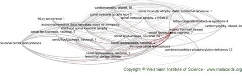 Ceroid Lipofuscinosis Neuronal 7 Disease Malacards Research Articles Drugs Genes