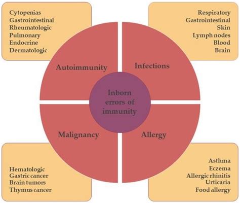 Antibodies Mdpi On Linkedin Elevated Ige Levels—an Allergy Or An