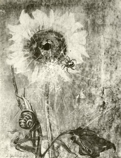 Die Feen Von Lily Blatherwick Hochwertiger Kunstdruck