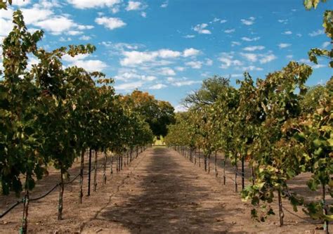 Amanda Jauregui On Linkedin Travel Hillcountry Writers