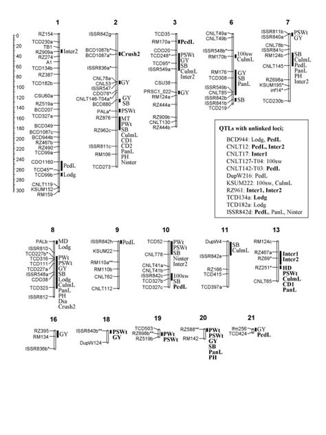 Molecular Linkage Map With Positions Of Qtls For 19 Traits On Tef Ril