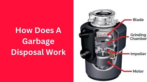 How Does A Garbage Disposal Work Fix The Disposal