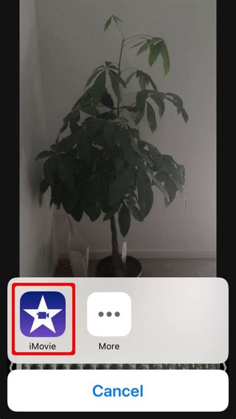 How To Rotate An IPhone Video