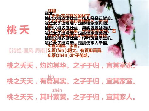 诗经 桃夭 word文档在线阅读与下载 无忧文档