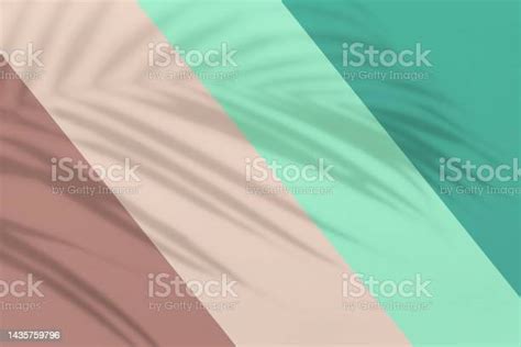 열대 야자수는 복사 공간이있는 파스텔 색상 배경에 그림자를 남깁니다 0명에 대한 스톡 사진 및 기타 이미지 0명 검은색 곡선 Istock