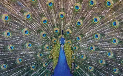 Admin Magazine On Linkedin Python Languages Patternmatching Devops Programming Rust