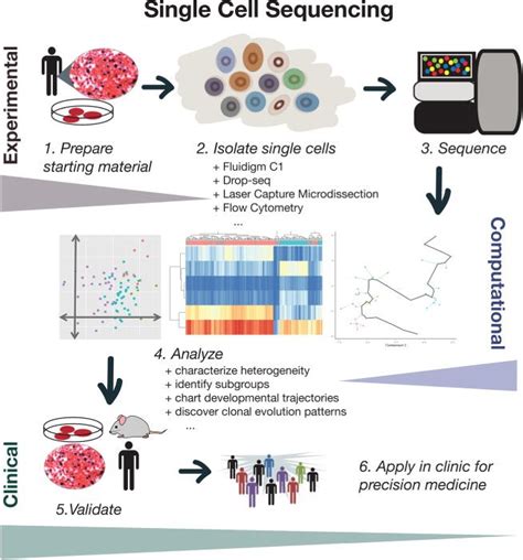 Clinical Genomics BioCode