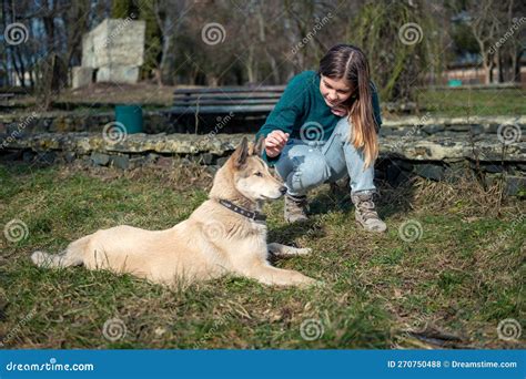 Beautiful Teen Girl With Dog Teenage Girl Playing With A Dog In The