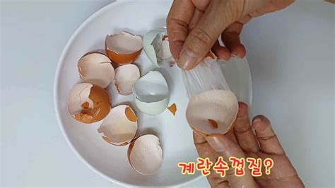 계란껍질 활용법 2가지 Youtube