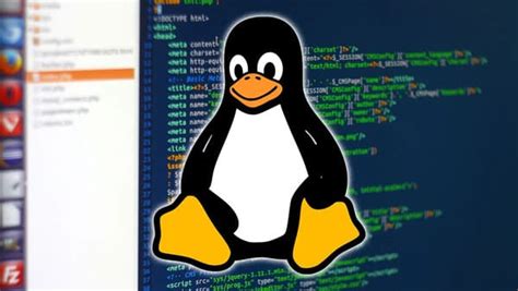 ¿cómo Renombrar Un Archivo En Linux 【 De Novato A Experto