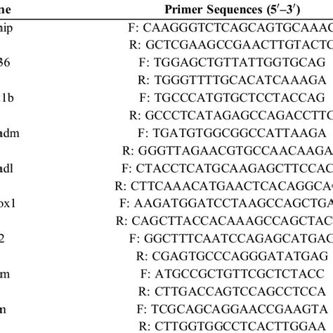 Txnip Gene Knockout Improved The Fatty Acid Oxidation Capacity In Download Scientific Diagram