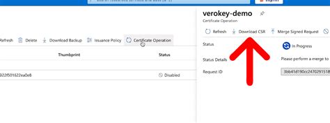 Setup Microsoft Azure Key Vault With Verokey Digicert Code Signing Certificate