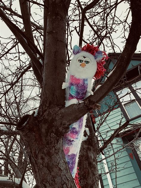 Completed My First Long Girl Today Is Both Of Our Cake Days She Is Still Nameless Suggestions