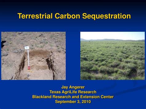 Ppt Terrestrial Carbon Sequestration Powerpoint Presentation Free Download Id 3328082