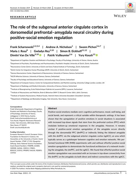 Pdf The Role Of The Subgenual Anterior Cingulate Cortex In Dorsomedial Prefrontal Amygdala