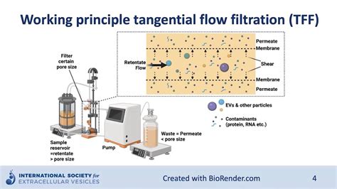 Ultrafiltration To Concentrate Extracellular Vesicles Youtube