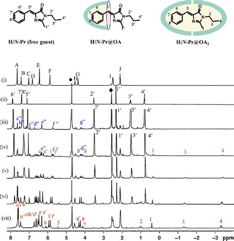 Top Structures Of The Guest Hostguest Complexes And Numbering Of Download Scientific