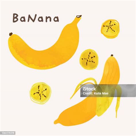 바나나 이국적인 과일 수채화 벡터 일러스트 세트 회화수채질감과 잉크 드로잉 요소 손으로 그린 손으로 그린 벡터 거친에 대한 스톡 벡터 아트 및 기타 이미지 Istock