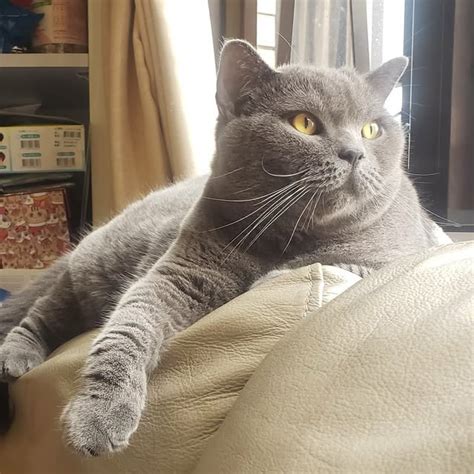 Eva Cheung Manyee Eva Threads Say More