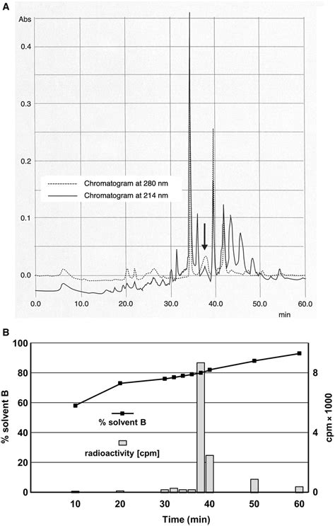 The Hplc Of The Internal Lys‐c‐photolabeled Peptide A Download Scientific Diagram